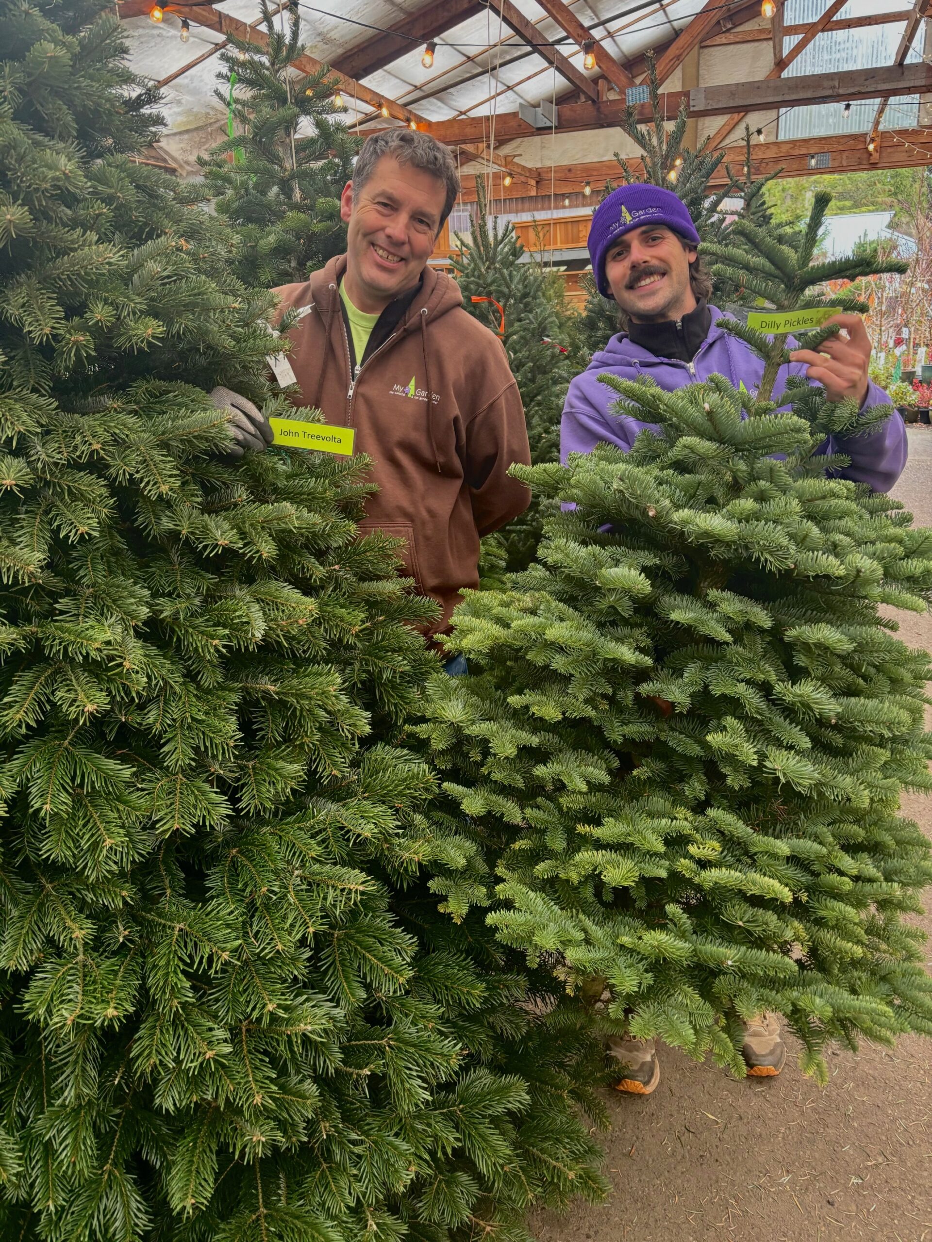 GREEN THUMB THURSDAY: Christmas Trees! | KAFE 104.1